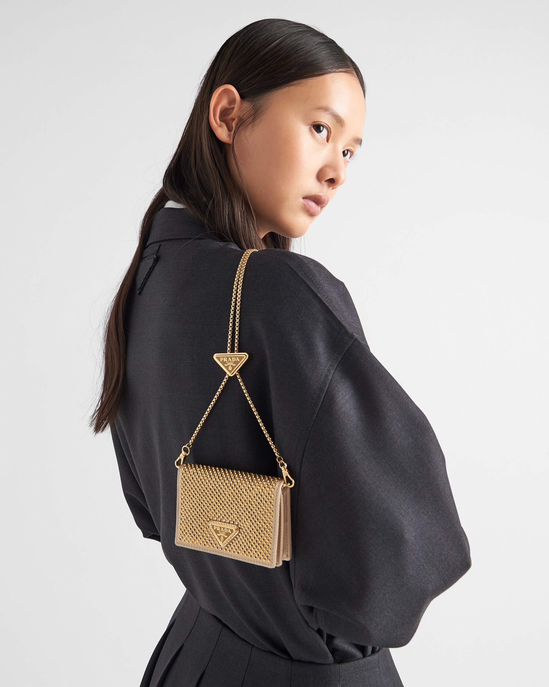 Platinum Cardholder With Shoulder Strap And Crystals | PRADA