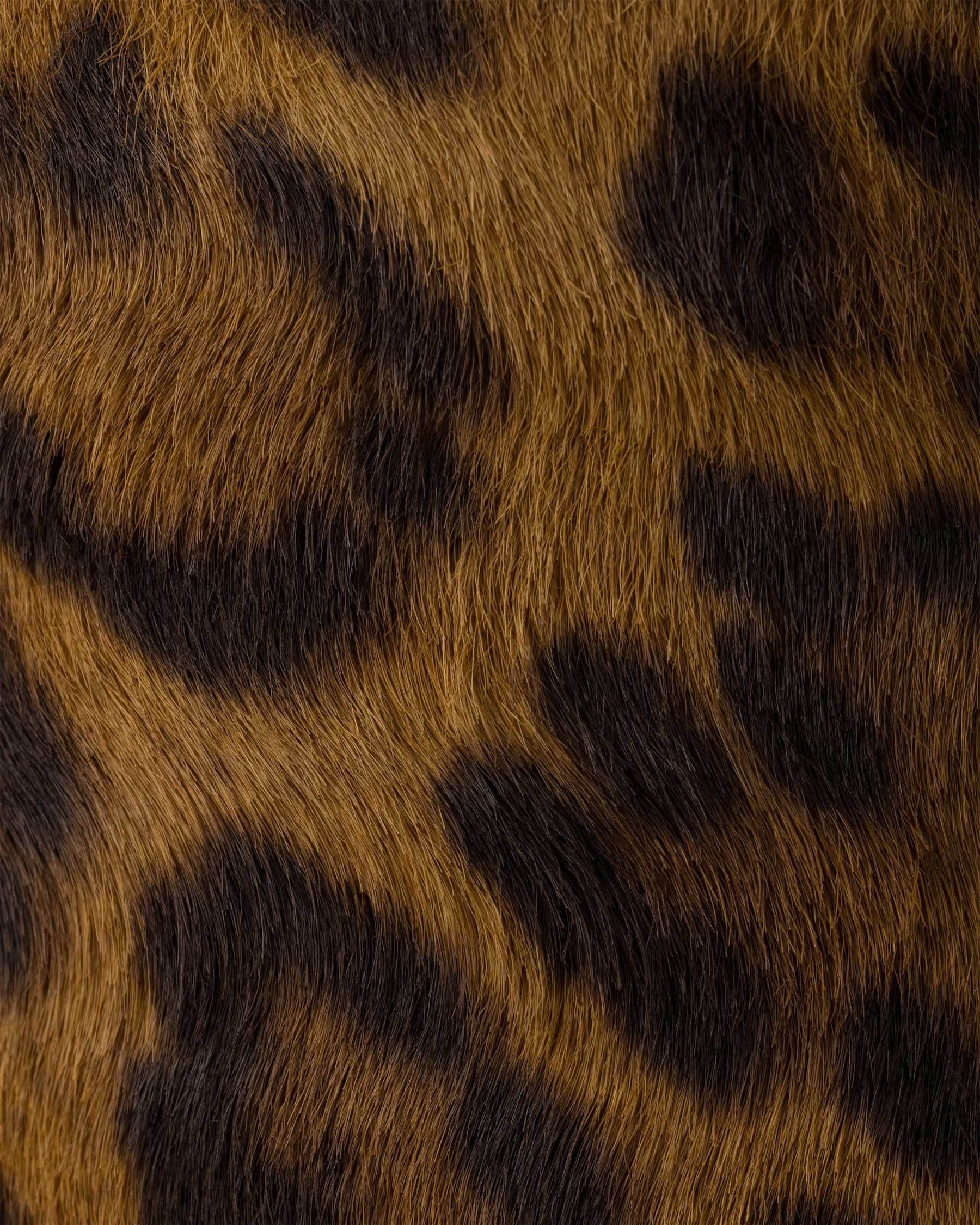 Honey Leopard-print Leather Mules | PRADA