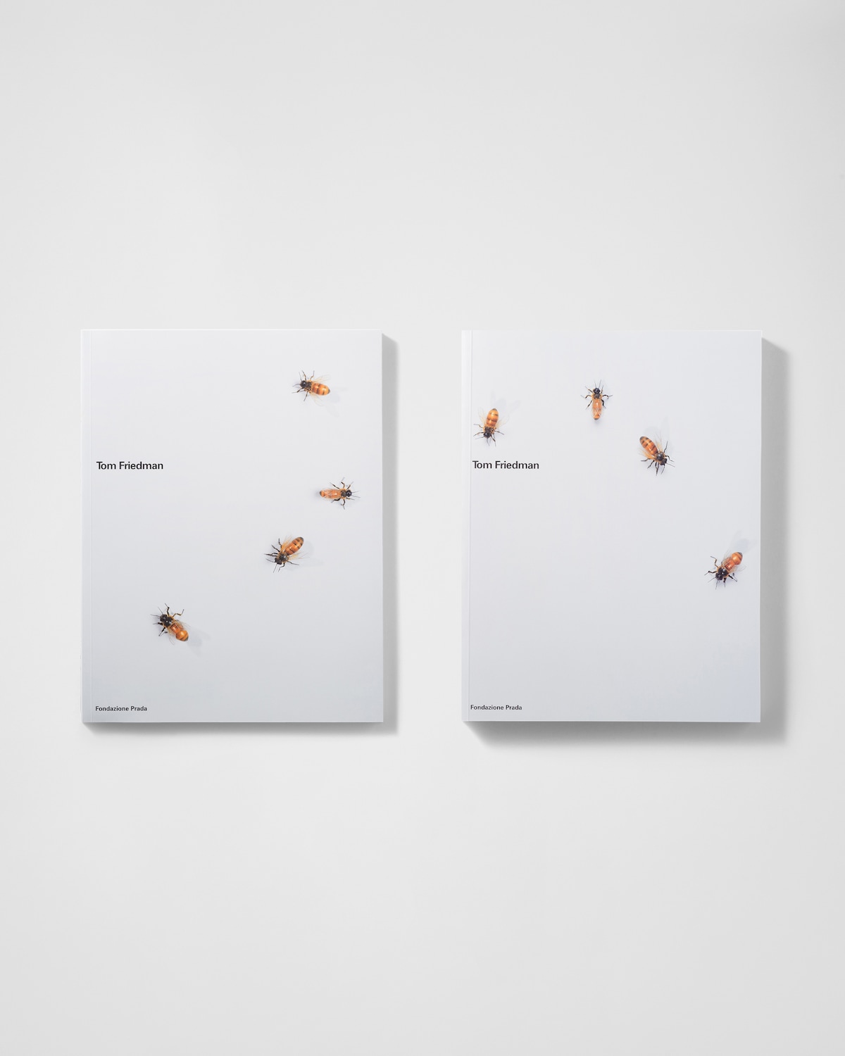 Neutral Tom Friedman - 2002 | PRADA