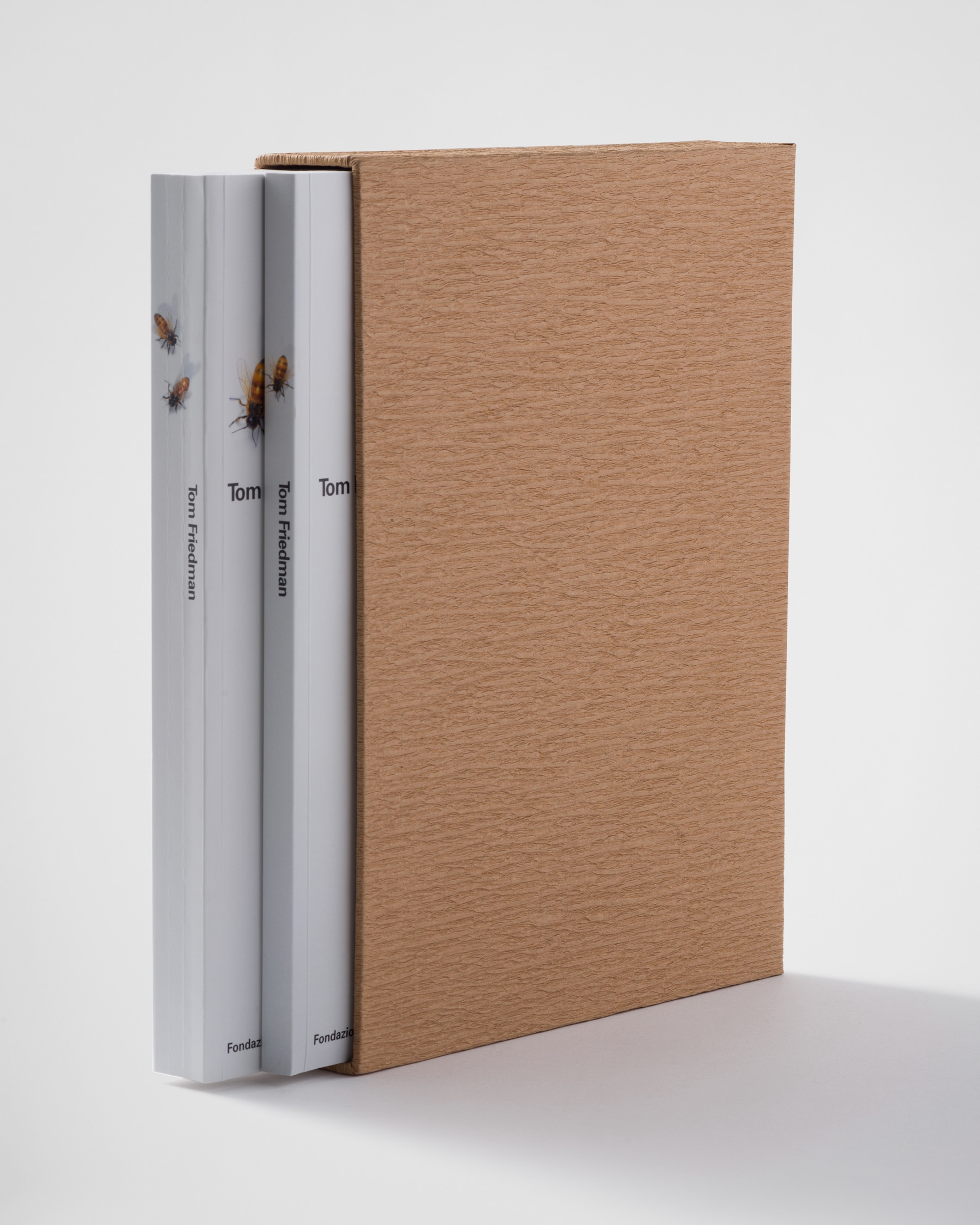 Neutral Tom Friedman - 2002 | PRADA