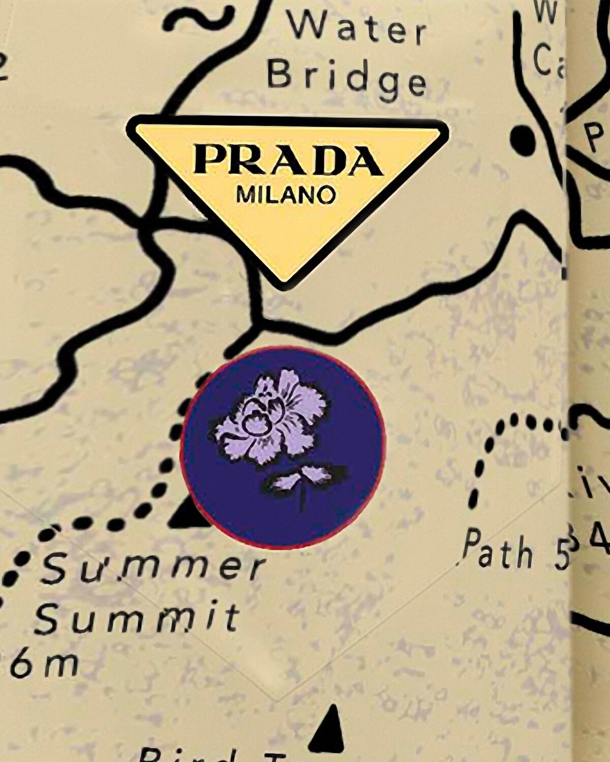 Desert Beige Timecapsule Printed Cotton Shirt | PRADA