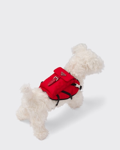 WOMEN's Pet accessories | PRADA